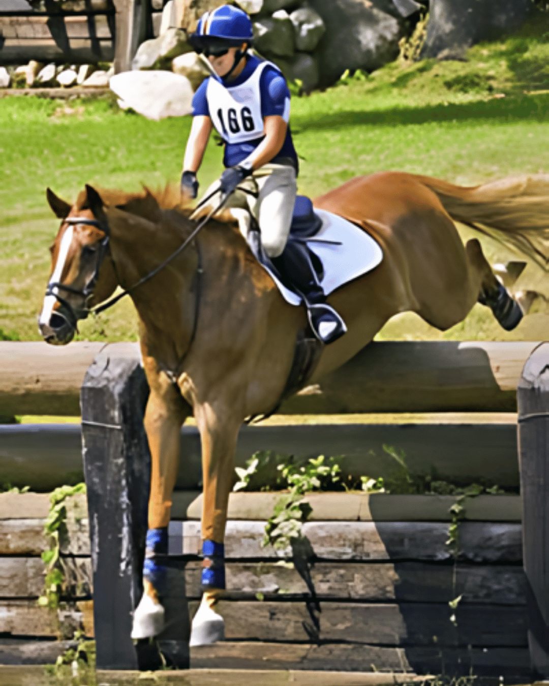 Molly Rosin; Upper Level Event Rider – Equinature